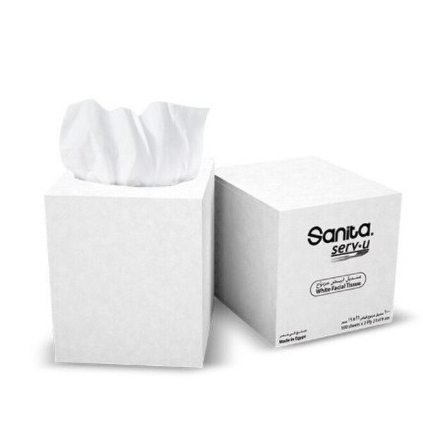 Sanita Facial Tissue Serv-U Cube 2 Ply 76 Sheets
